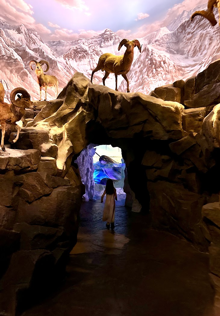 24 Best Things to Do in Springfield, MO for a Family Getaway - Everyday ...
