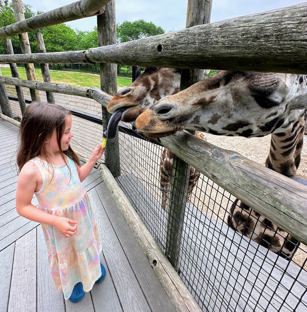 7 Best Weekend Trips from Kansas City - Everyday Outdoor Family