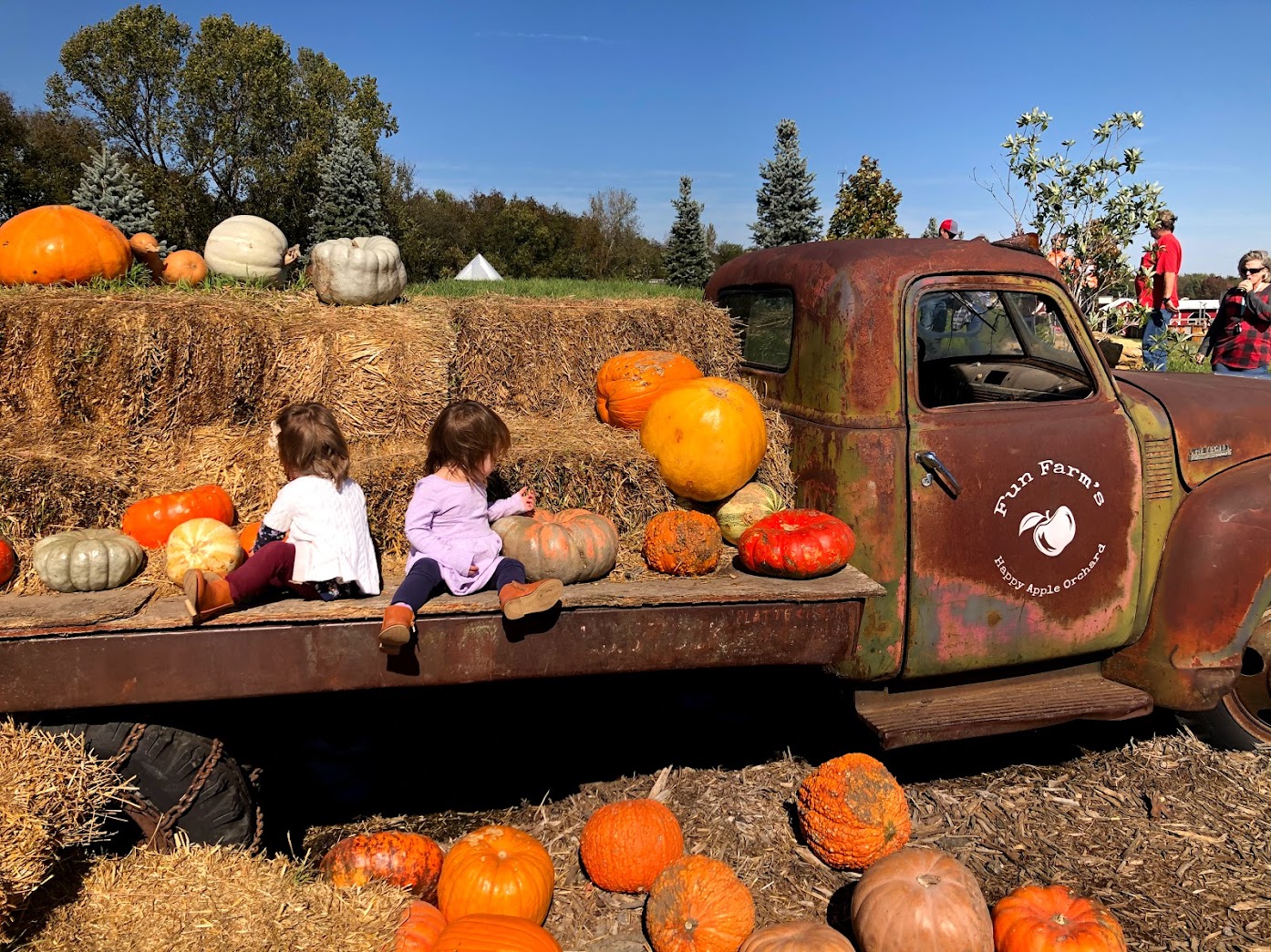 The Ultimate KC Pumpkin Patch Guide for Family Fun (Updated September ...