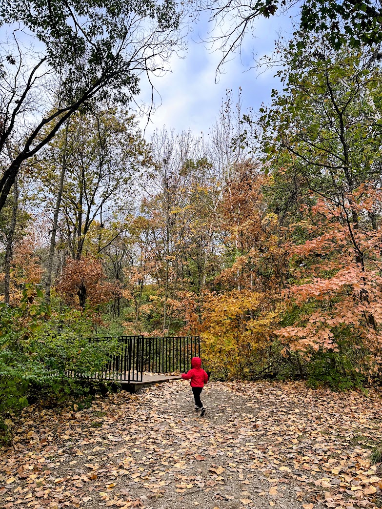 21 Best Trails for Hiking in Kansas City and the Metro