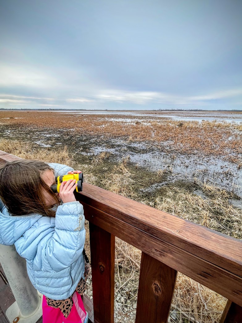 25 Fun Winter Outdoor Activities - Everyday Outdoor Family