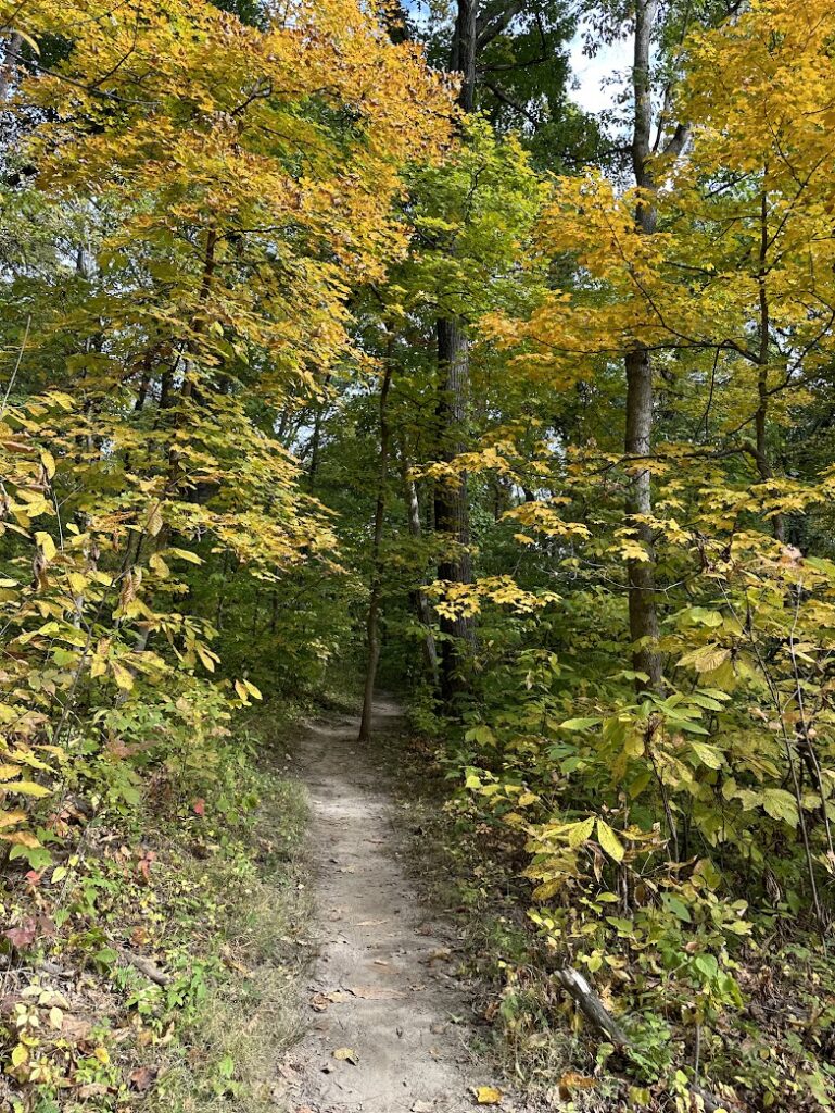 10 Best Places to See Fall Foliage in Kansas City - Everyday Outdoor Family