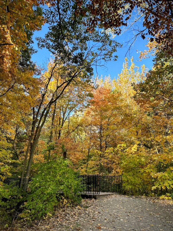 10 Best Places to See Fall Foliage in Kansas City - Everyday Outdoor Family
