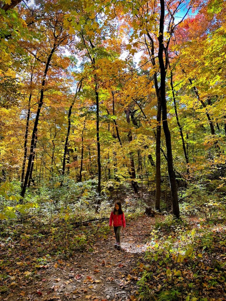 10 Best Places to See Fall Foliage in Kansas City - Everyday Outdoor Family