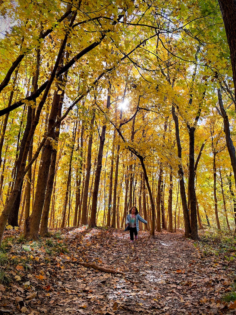 10 Best Places to See Fall Foliage in Kansas City - Everyday Outdoor Family